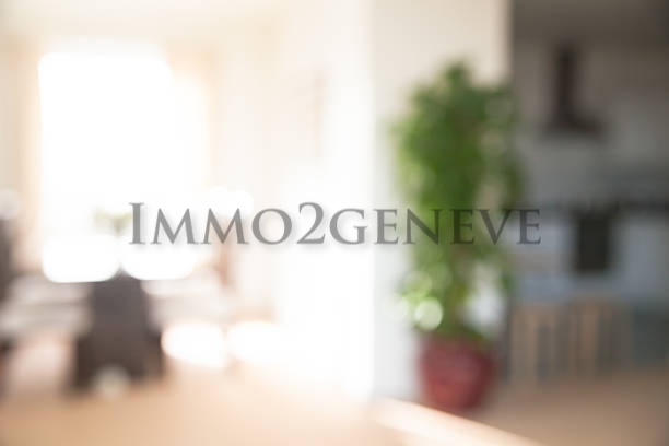 Magnifique duplex en attique avec terrasse et balcon – Immo2geneve